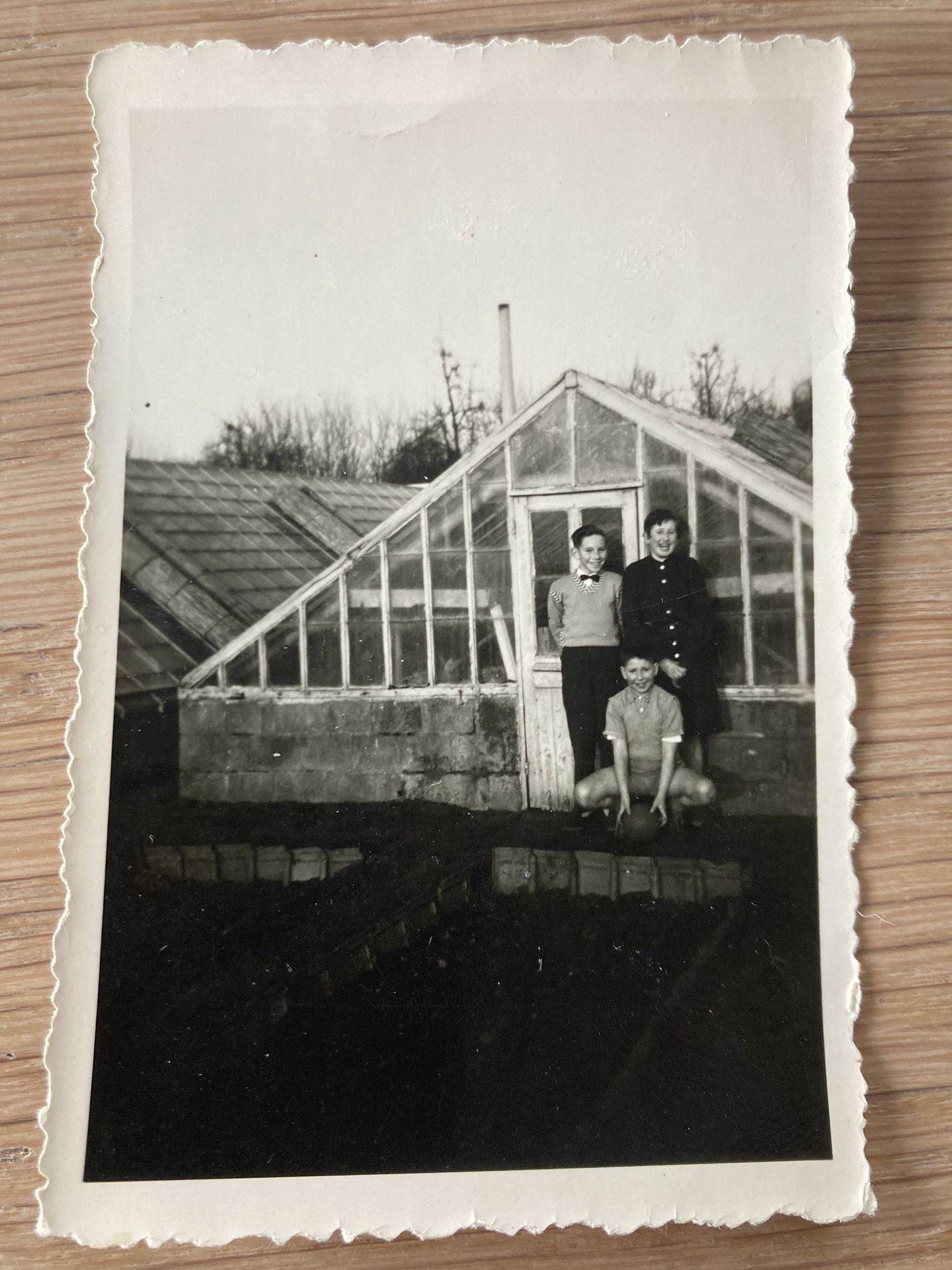 Ons verhaal | hetgroeneanker